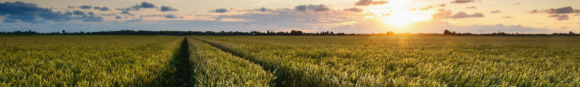 Products - Flexi-Coil